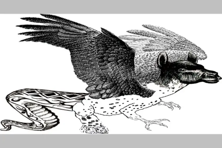 MITOLOGÍA INCA » Tradición, Historia, Costumbres, Dioses Y Leyendas